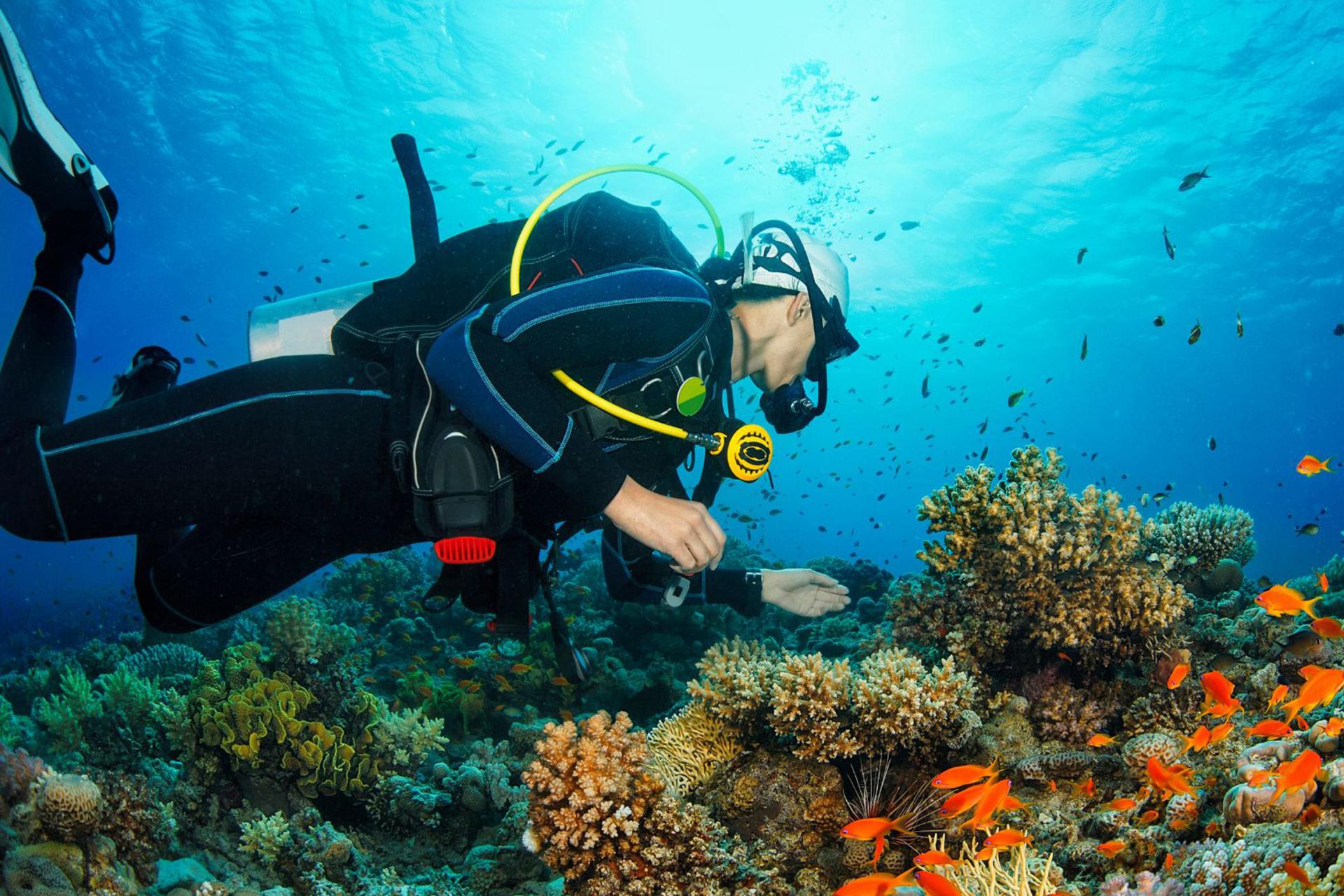 Guide de la plongée en Guadeloupe