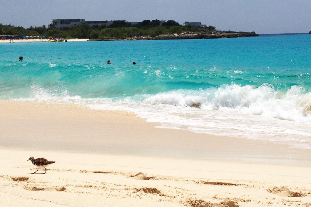Mullet Bay Philipsburg St Martin