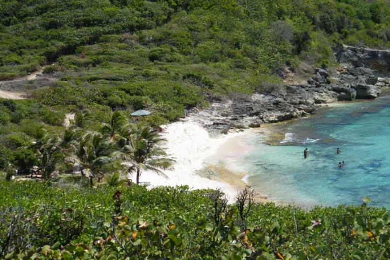 Anse Tarare Beach Guadeloupe Saint-François